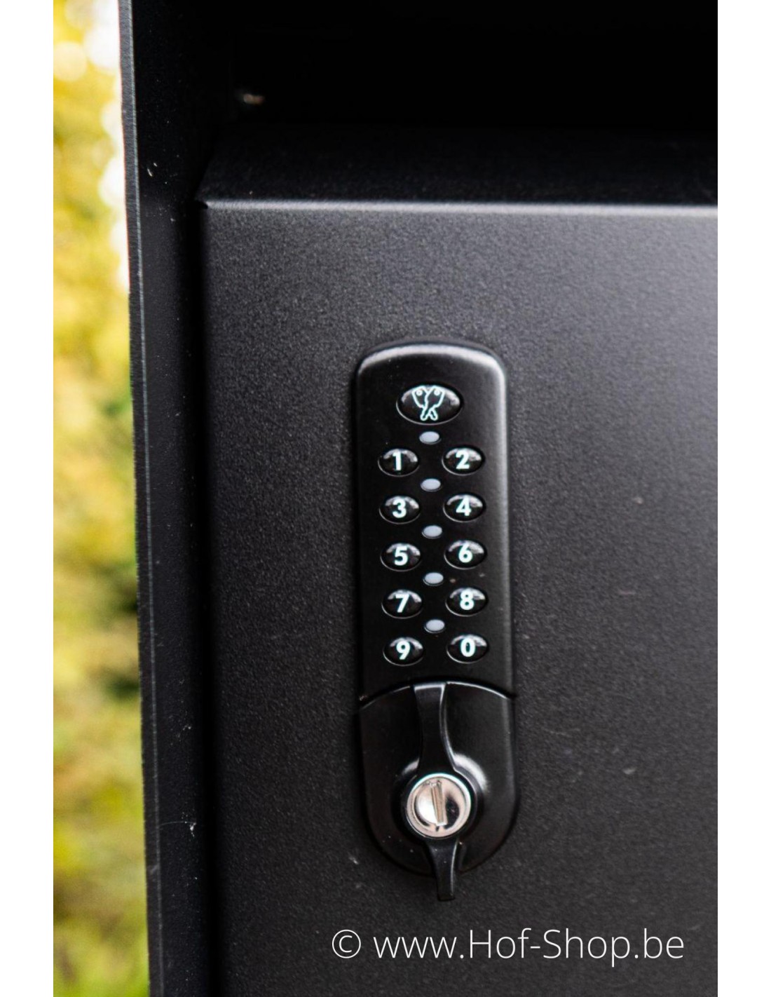 Maxus Single 1100 avec porte à paquets - eSafe boîte à colis aluminium