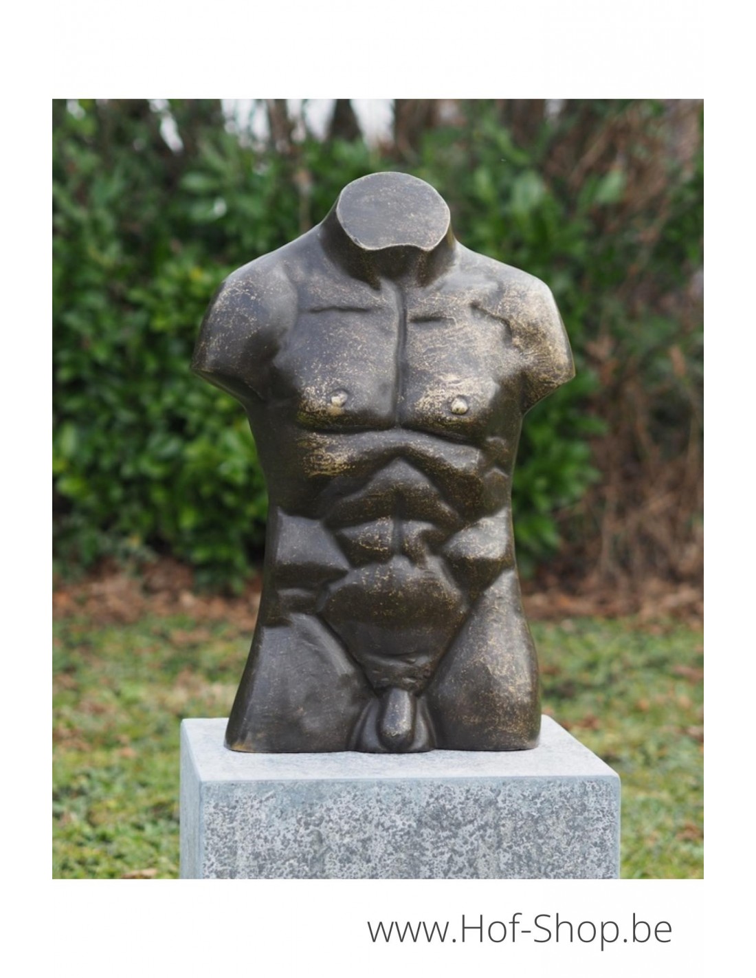 Buste d'hommes en bronze en grand - statue en bronze (AN3553BR-BI)